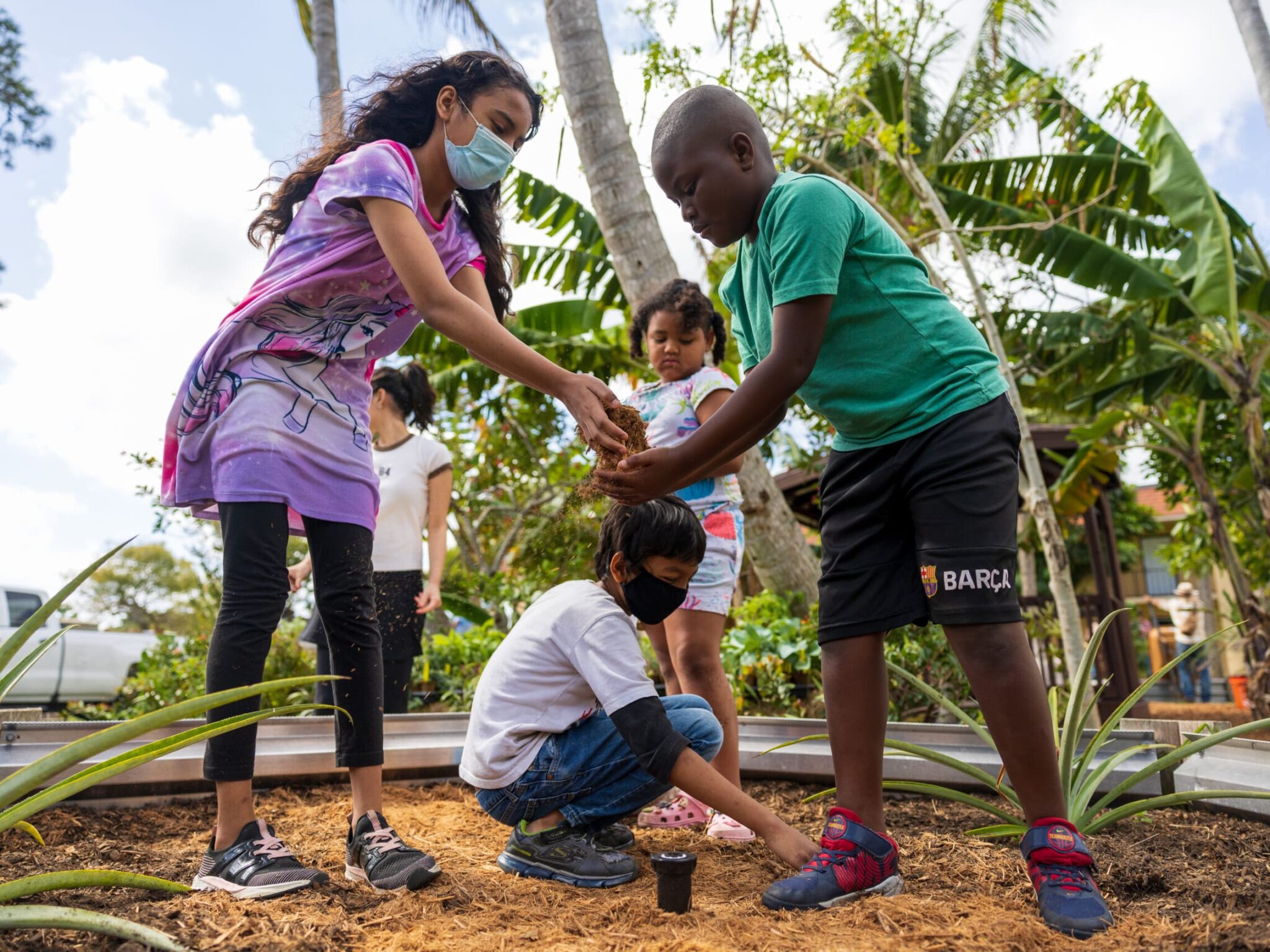 About – Neighborhood Farms USA