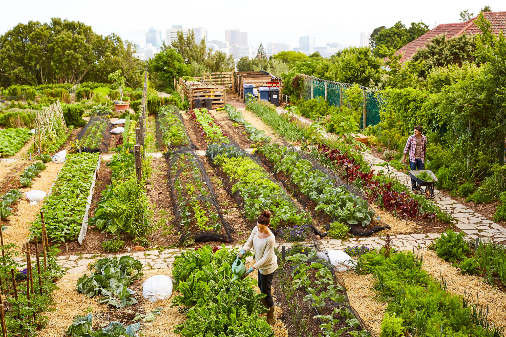 About – Neighborhood Farms USA
